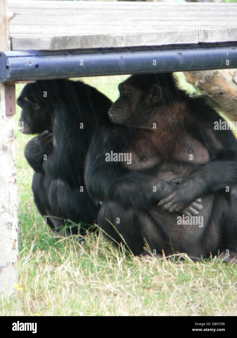 Humans interacting with each other hi-res stock photography and images ...