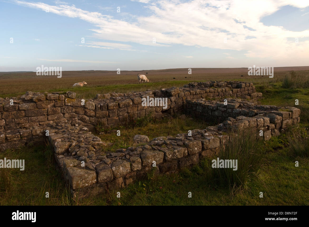 33b hi-res stock photography and images - Alamy