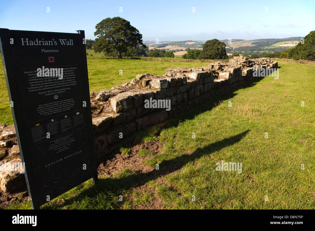 Hadrians wall at planetrees hi-res stock photography and images - Alamy