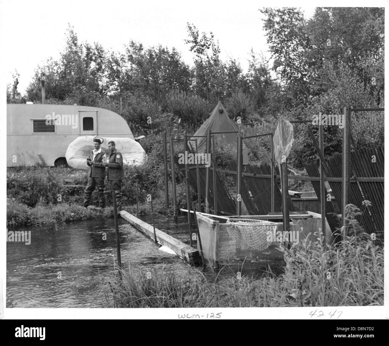 A traditional fishing weir constructed in a river, designed to catch ...
