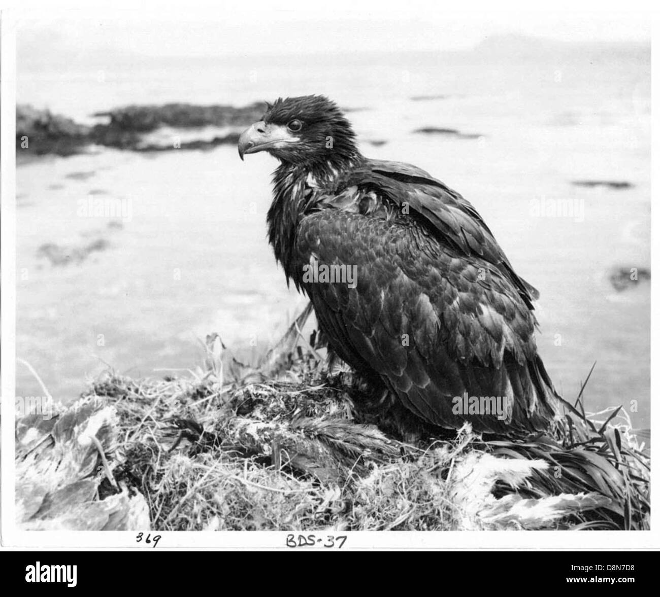 Old historical photo hi-res stock photography and images - Alamy