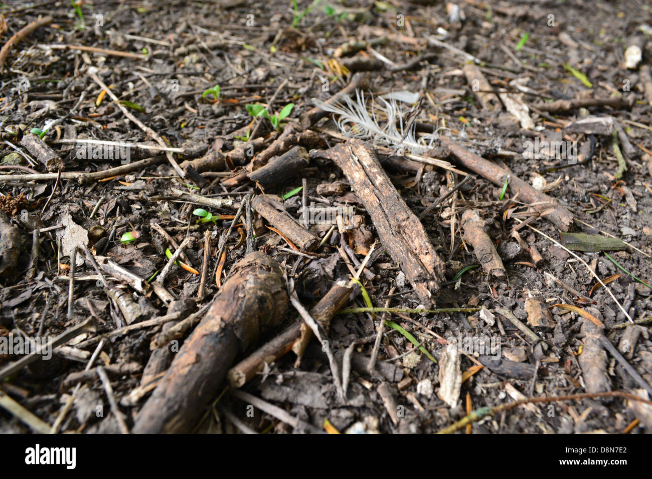 Wood sticks hi-res stock photography and images - Alamy