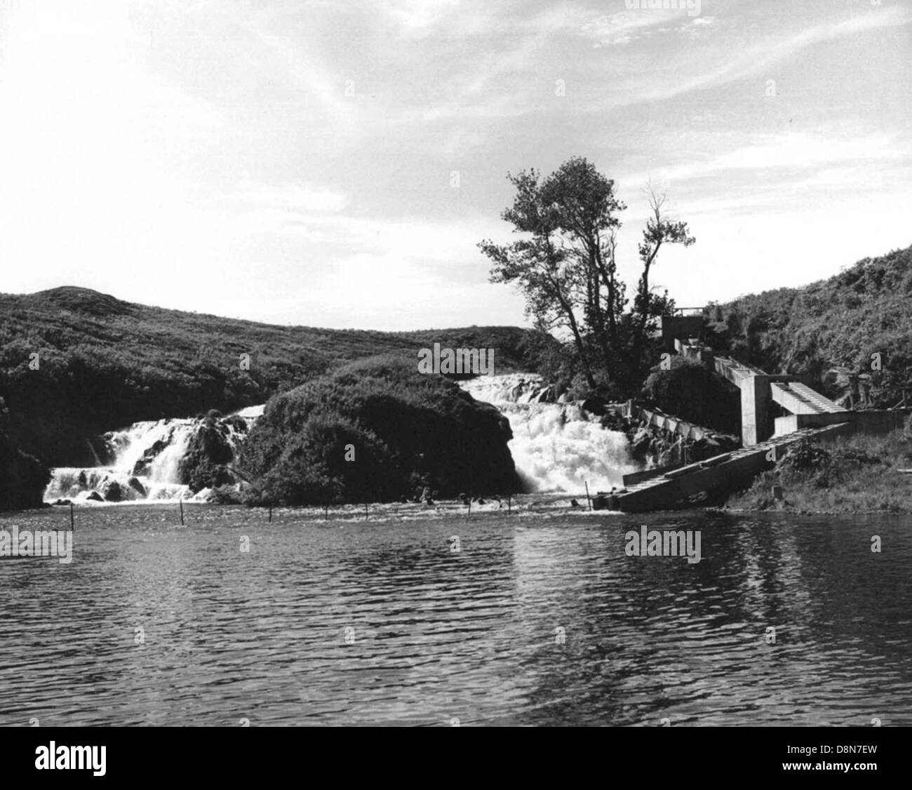Fraser Falls, a scenic waterfall surrounded by lush vegetation. The ...