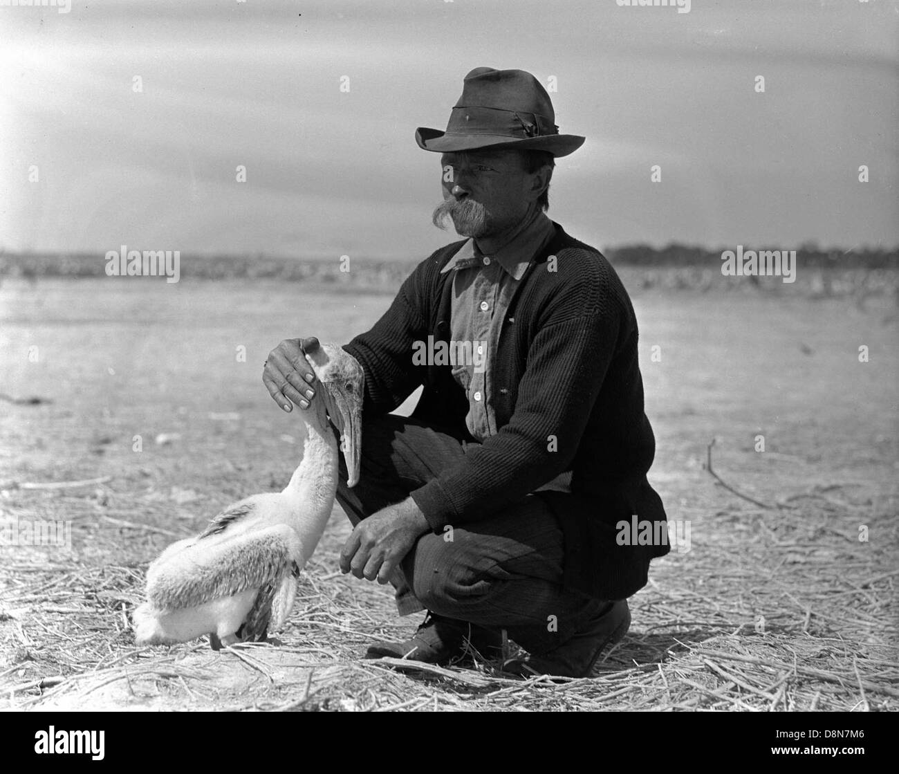 An archival photograph of a man dressed as a cowboy, holding a bird in ...