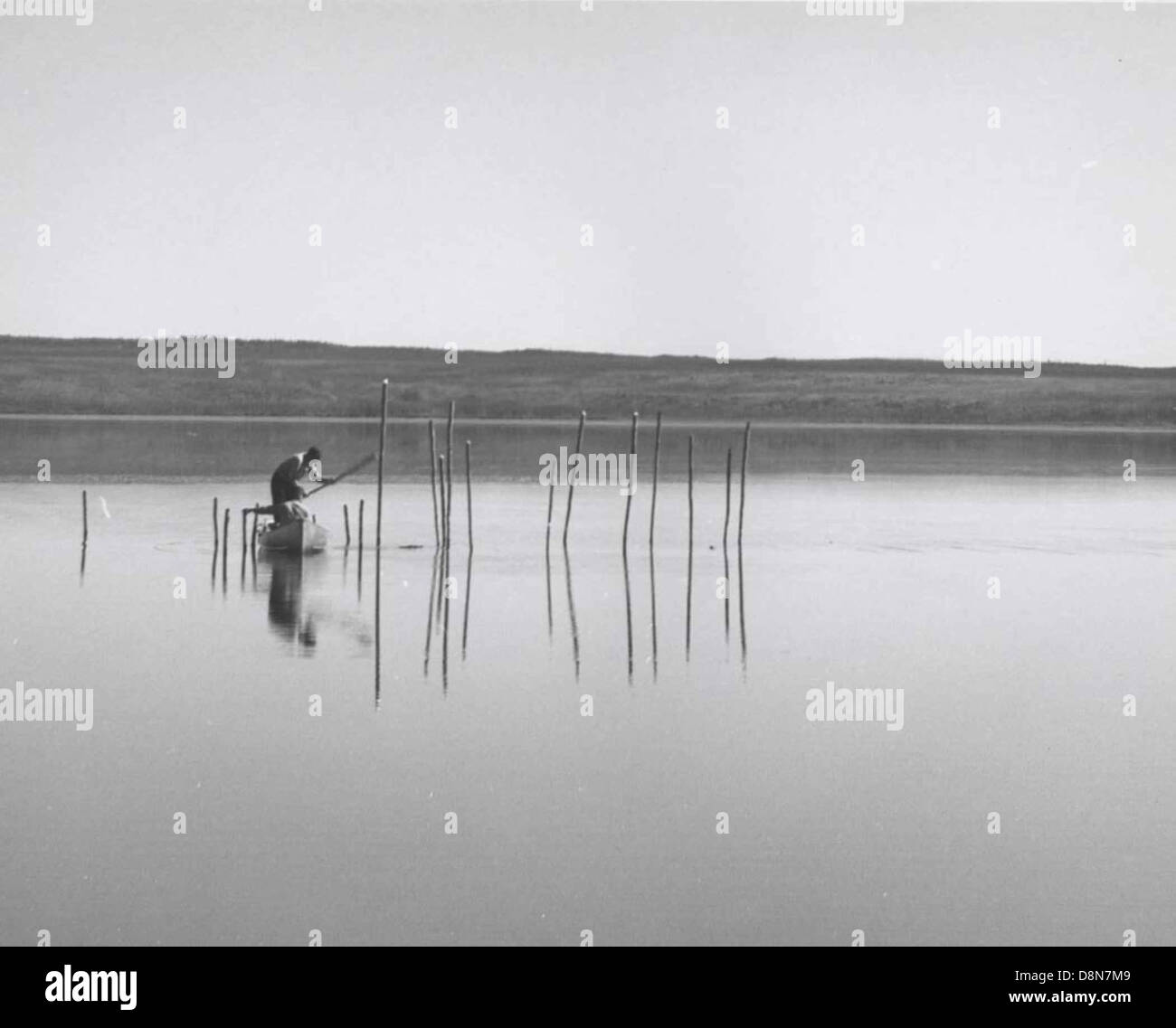 A historical scene depicting a fisherman hunting from a small boat on a ...