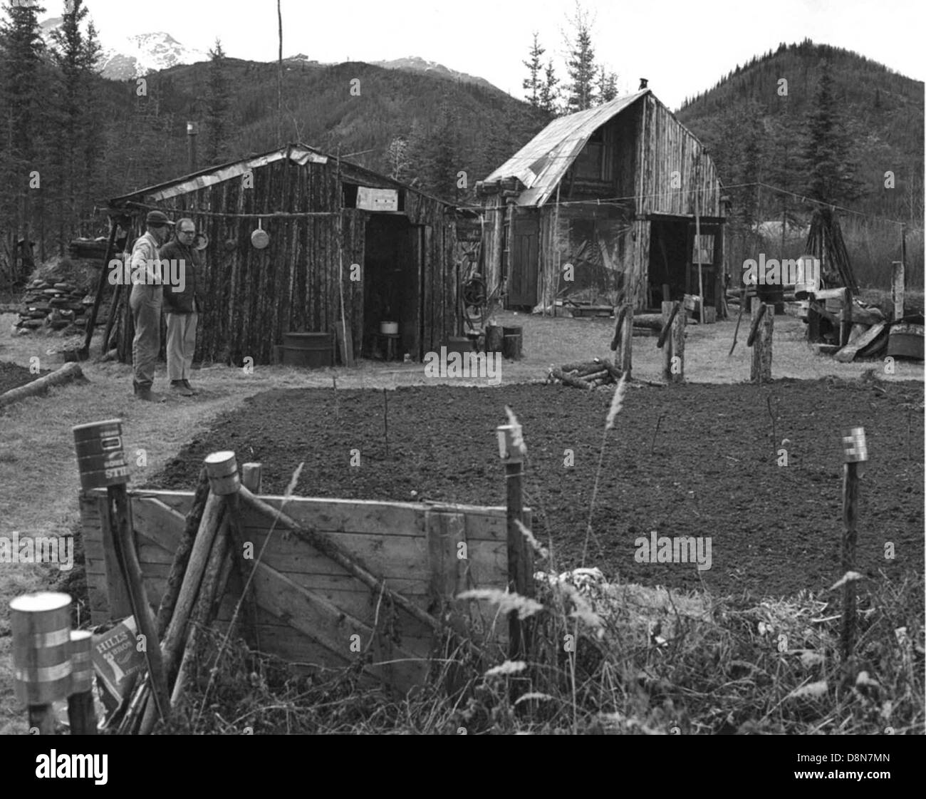 This image shows a traditional homestead in Wiseman, a remote area in ...