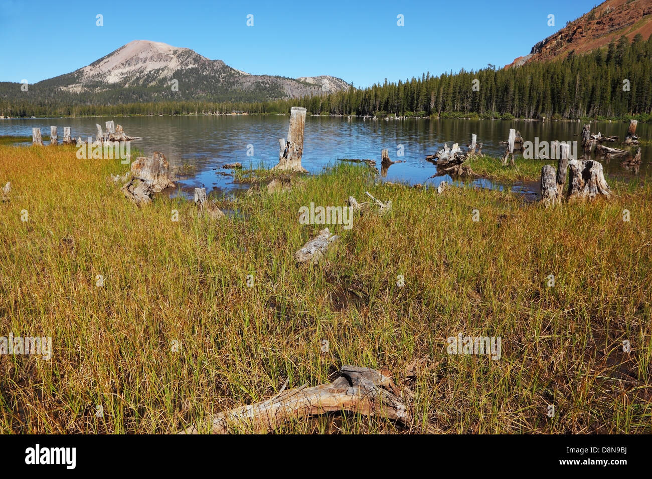 Shallow lakes in the mountains Stock Photo - Alamy