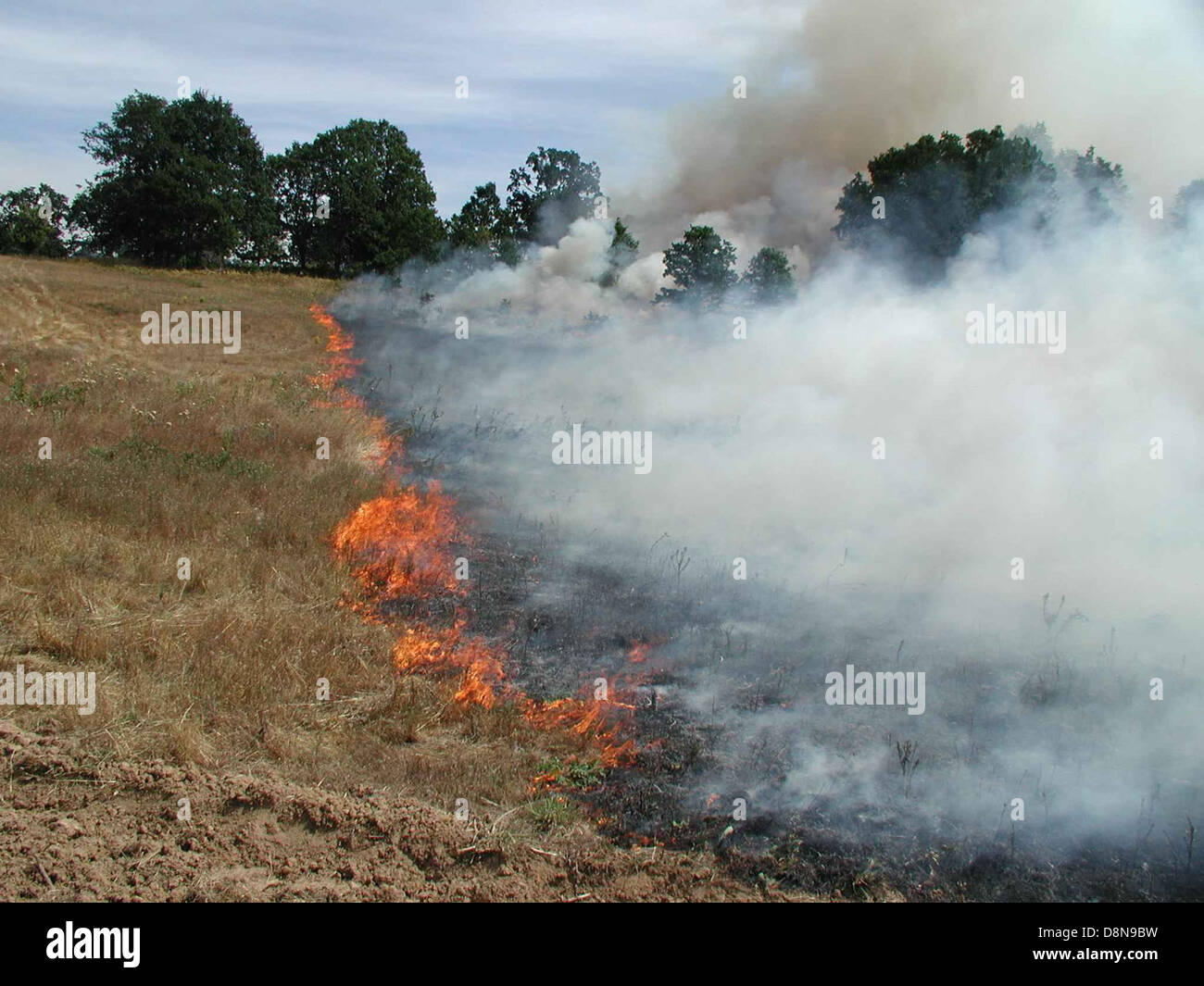 A summer fire burning through low-lying field vegetation, creating a ...