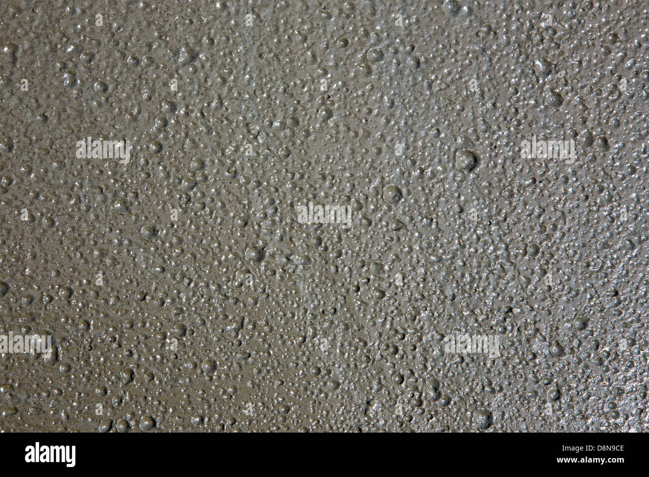 morass - background Stock Photo - Alamy