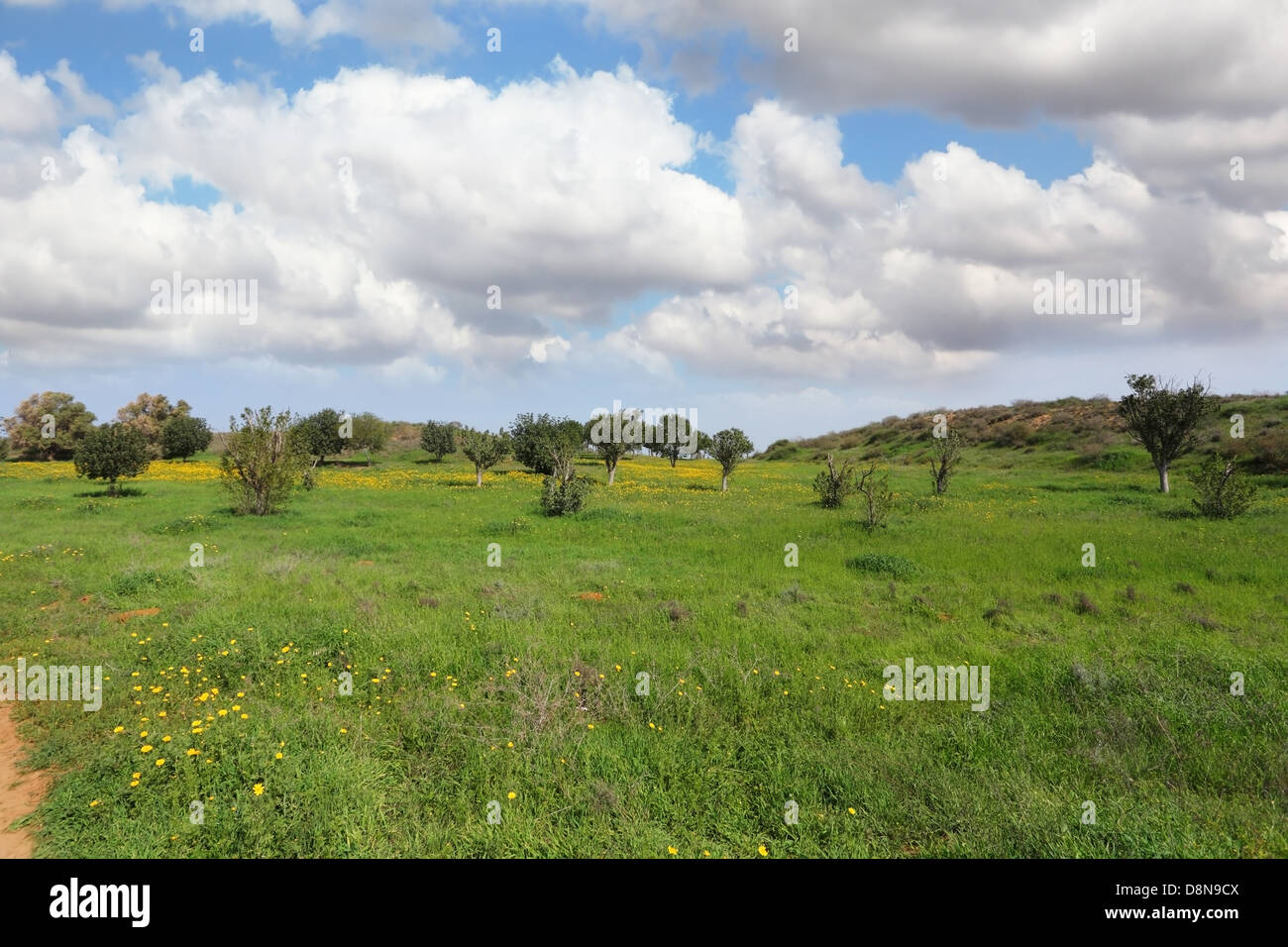 Daisy march hi-res stock photography and images - Alamy