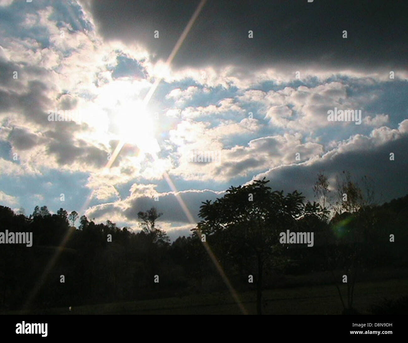 A vibrant sunburst pattern, often seen in graphic design or natural ...