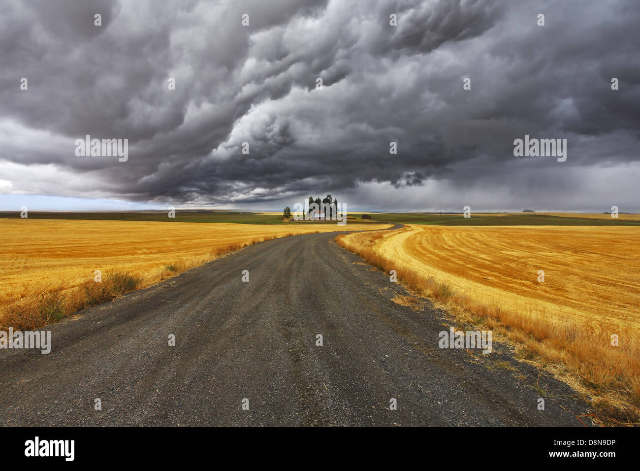 Gold thunder hi-res stock photography and images - Alamy