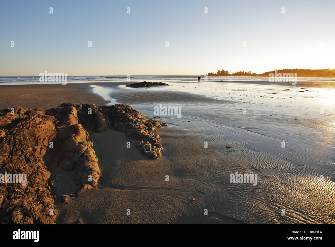 Magnificent beach on a sunset Stock Photo - Alamy