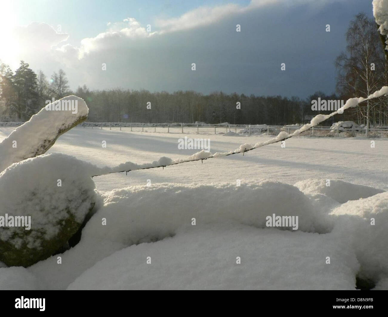 A wide field covered in snow, illuminated by bright sunlight. The ...