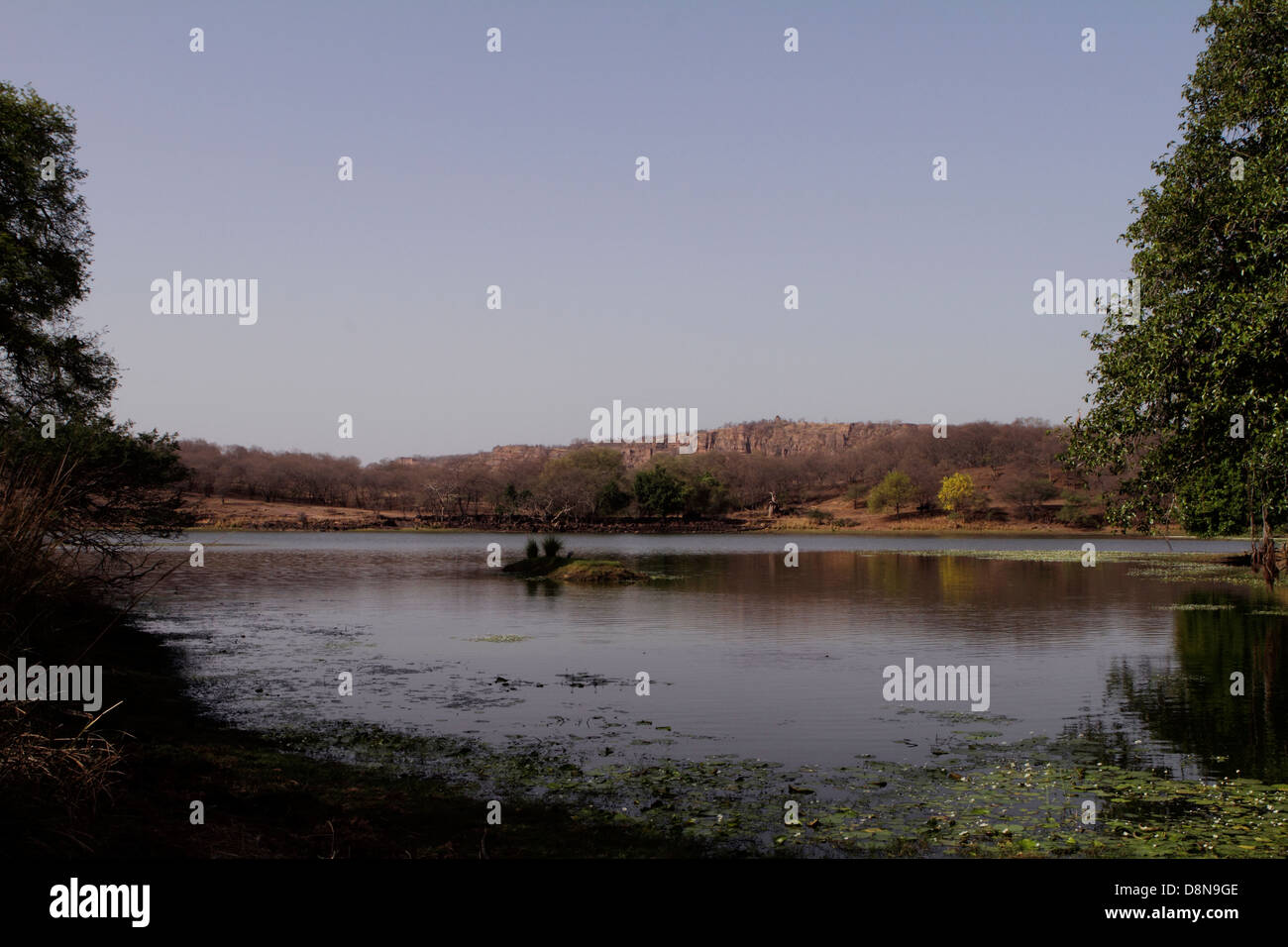 Ranthambhor fort hi-res stock photography and images - Alamy