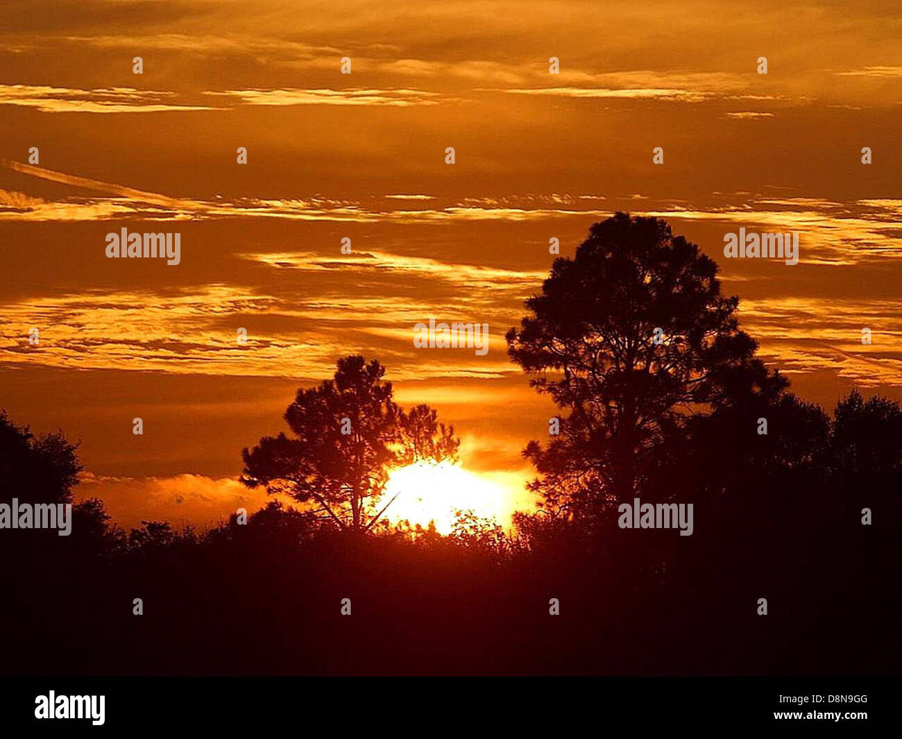 A breathtaking sunrise over the African landscape, with the rising sun ...