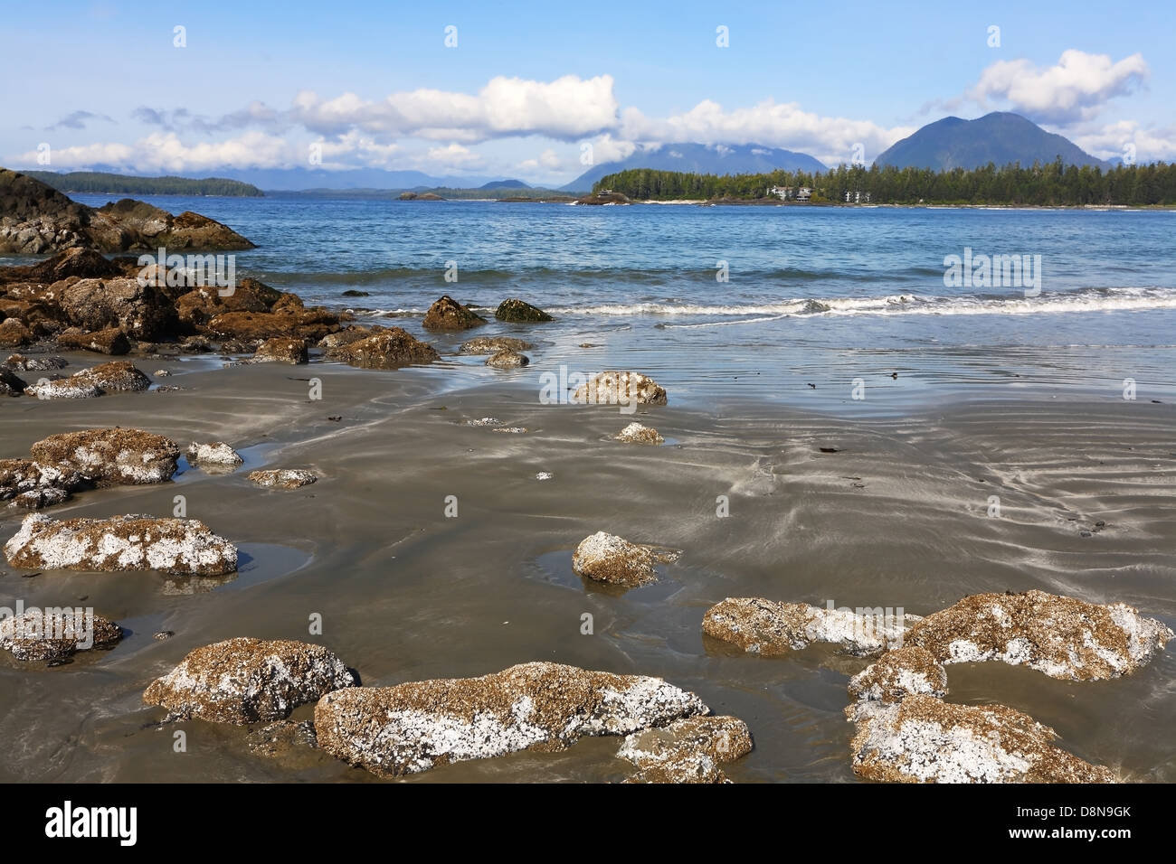 On the beach begins reflux Stock Photo - Alamy