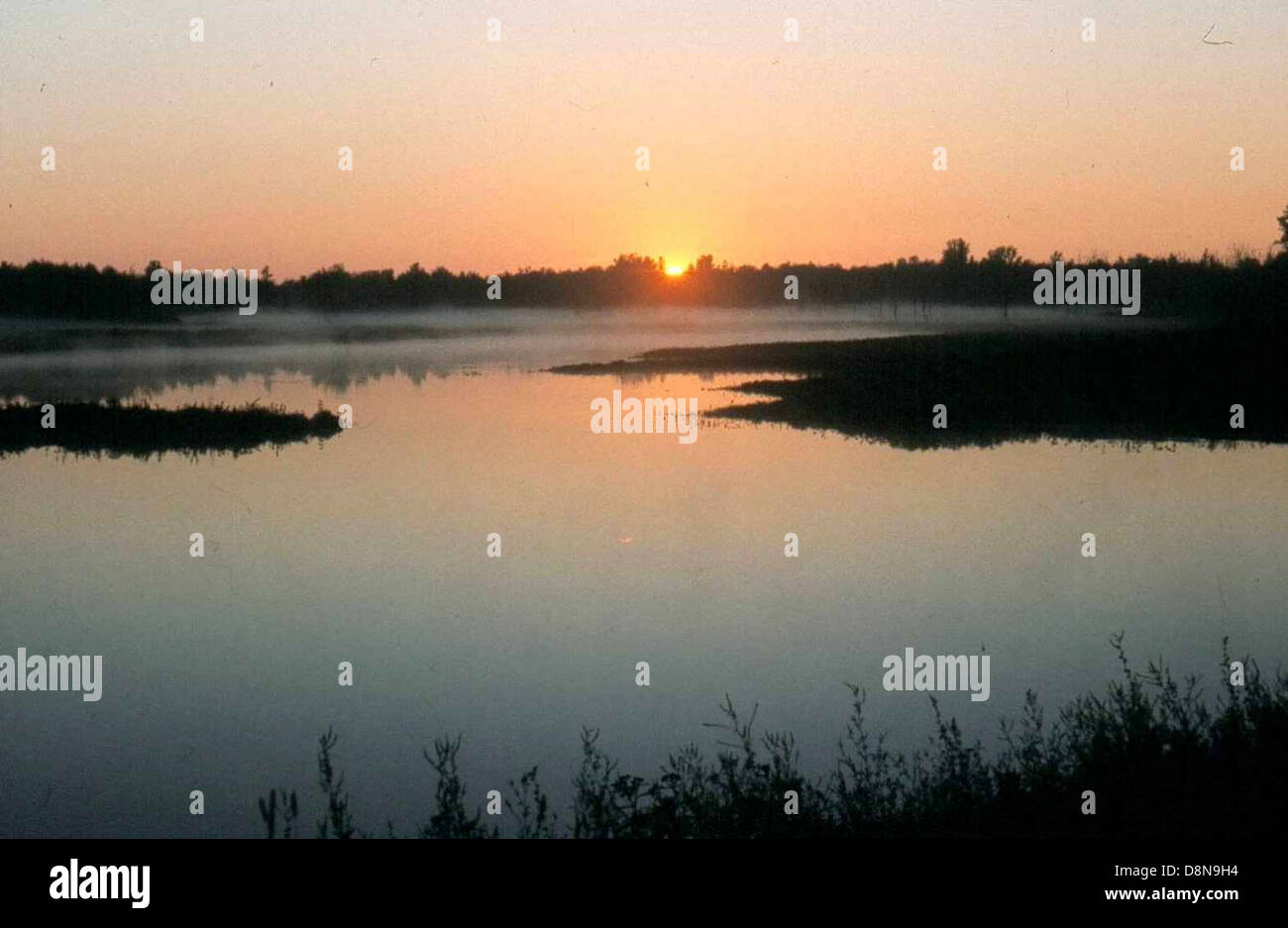 The sunrise casts a warm glow over a peaceful marshland. The early ...