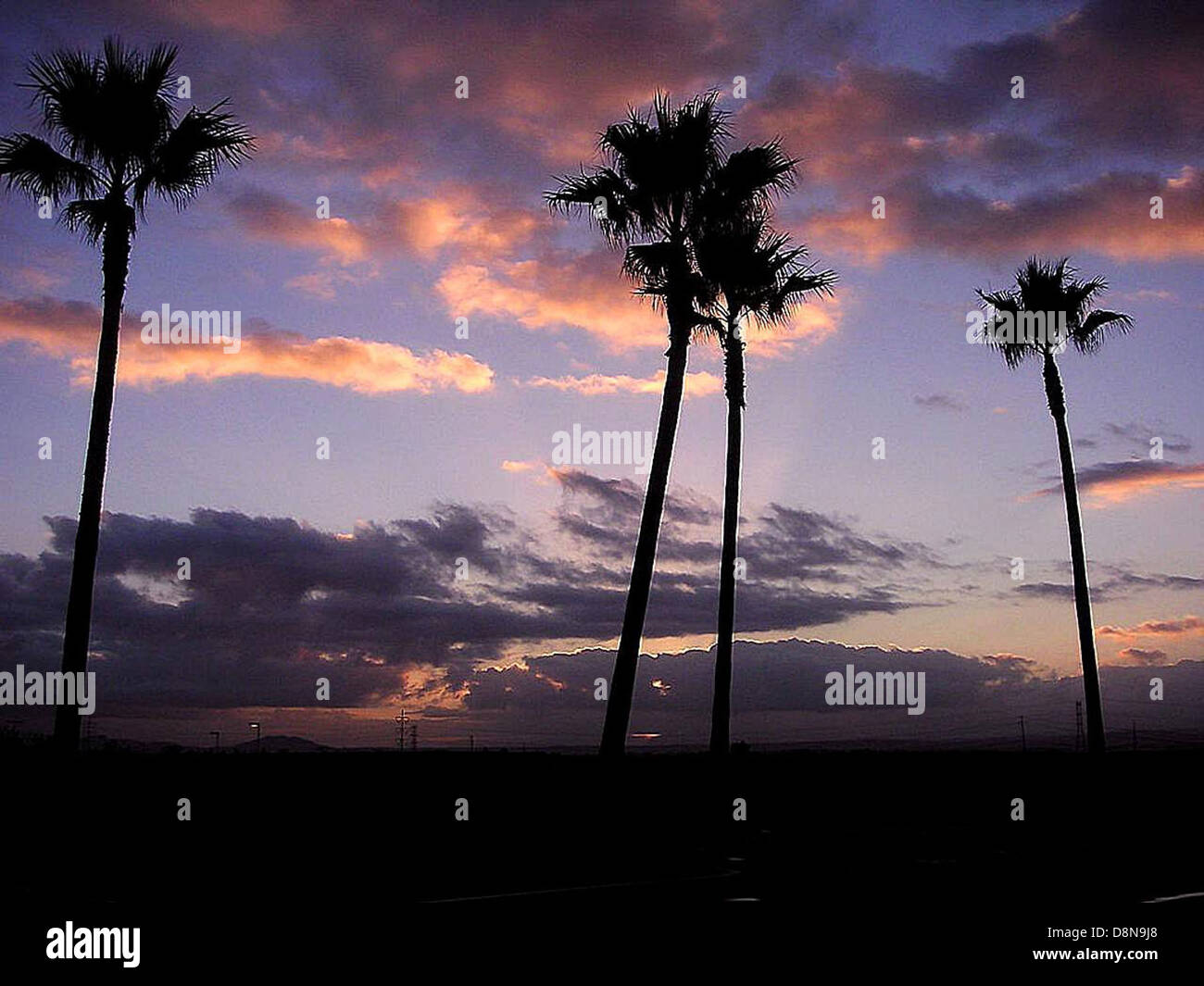 Sunrise palm trees Stock Photo - Alamy