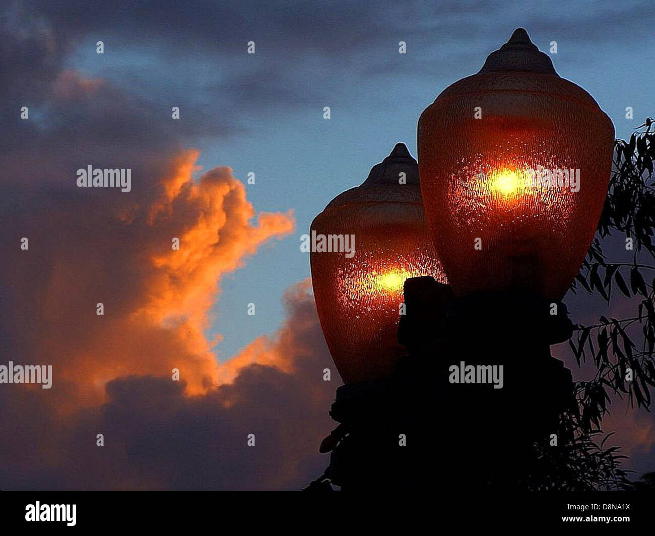A sunset over a park, with the sun dipping below the horizon. The warm ...