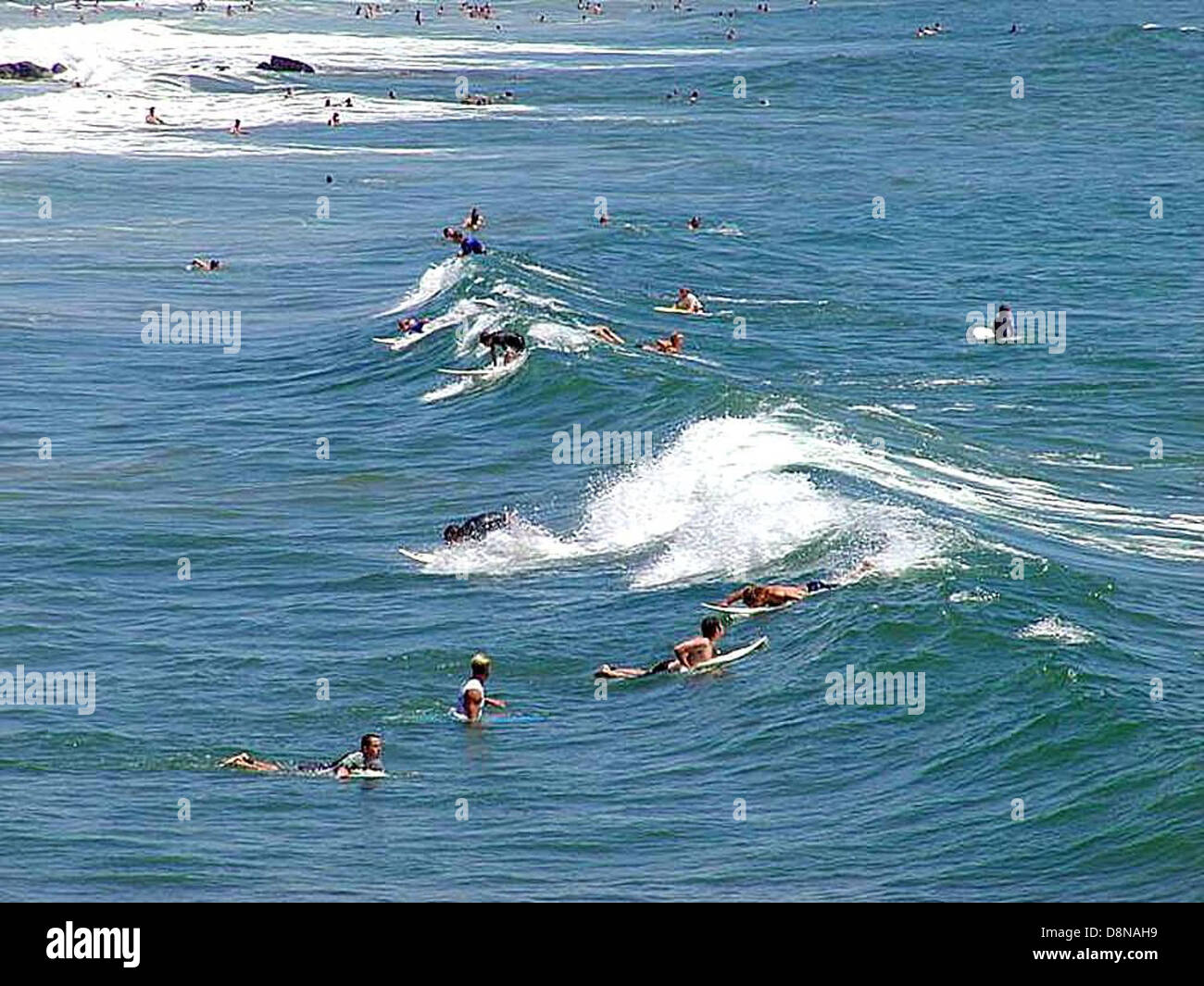 The image shows surfers riding ocean waves. The surfers skillfully ...