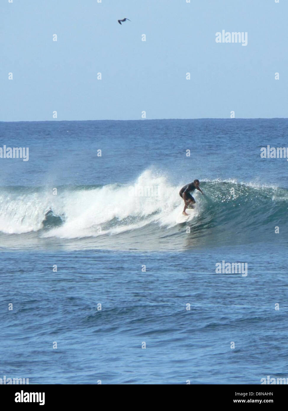 A surfer is pictured riding a large wave in the ocean, demonstrating ...