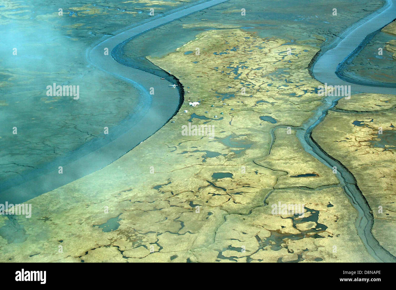 A river delta in a swamp, where water flows into the wetlands, creating ...