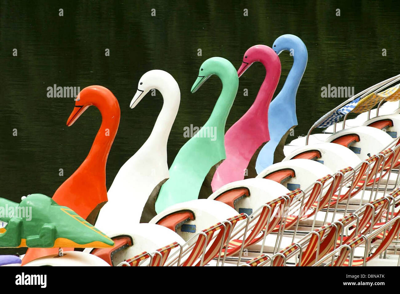 A set of modern Swan chairs with smooth, curving design. These iconic ...