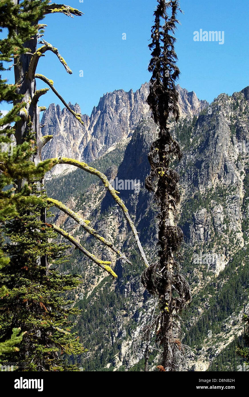 This image captures tall, jagged mountain peaks rising behind a forest ...