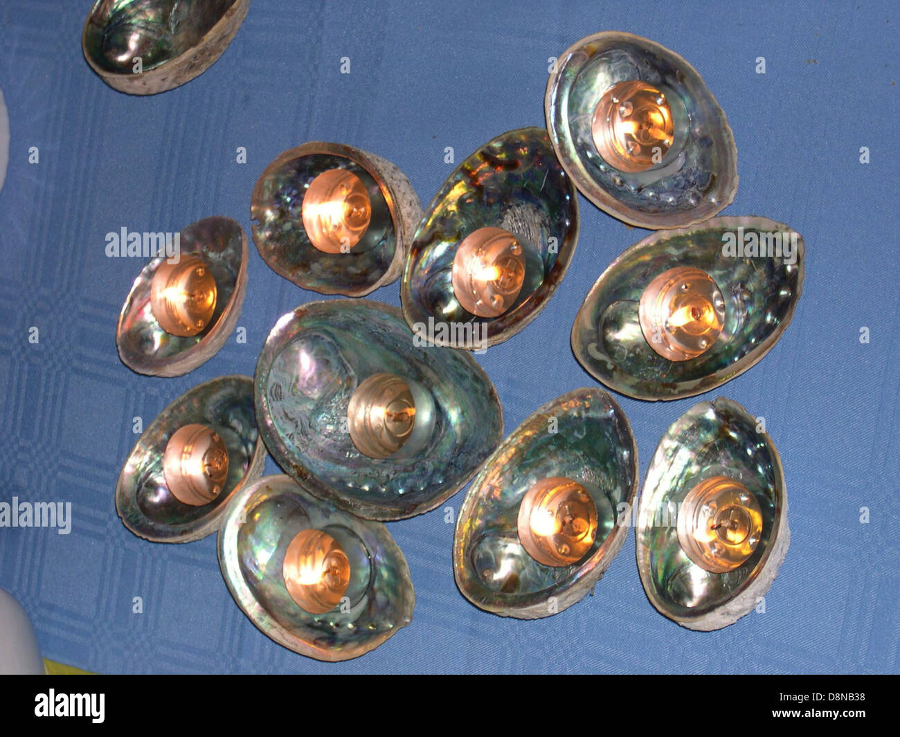 Tea lights placed inside paua shells create a soft, natural glow. Paua ...