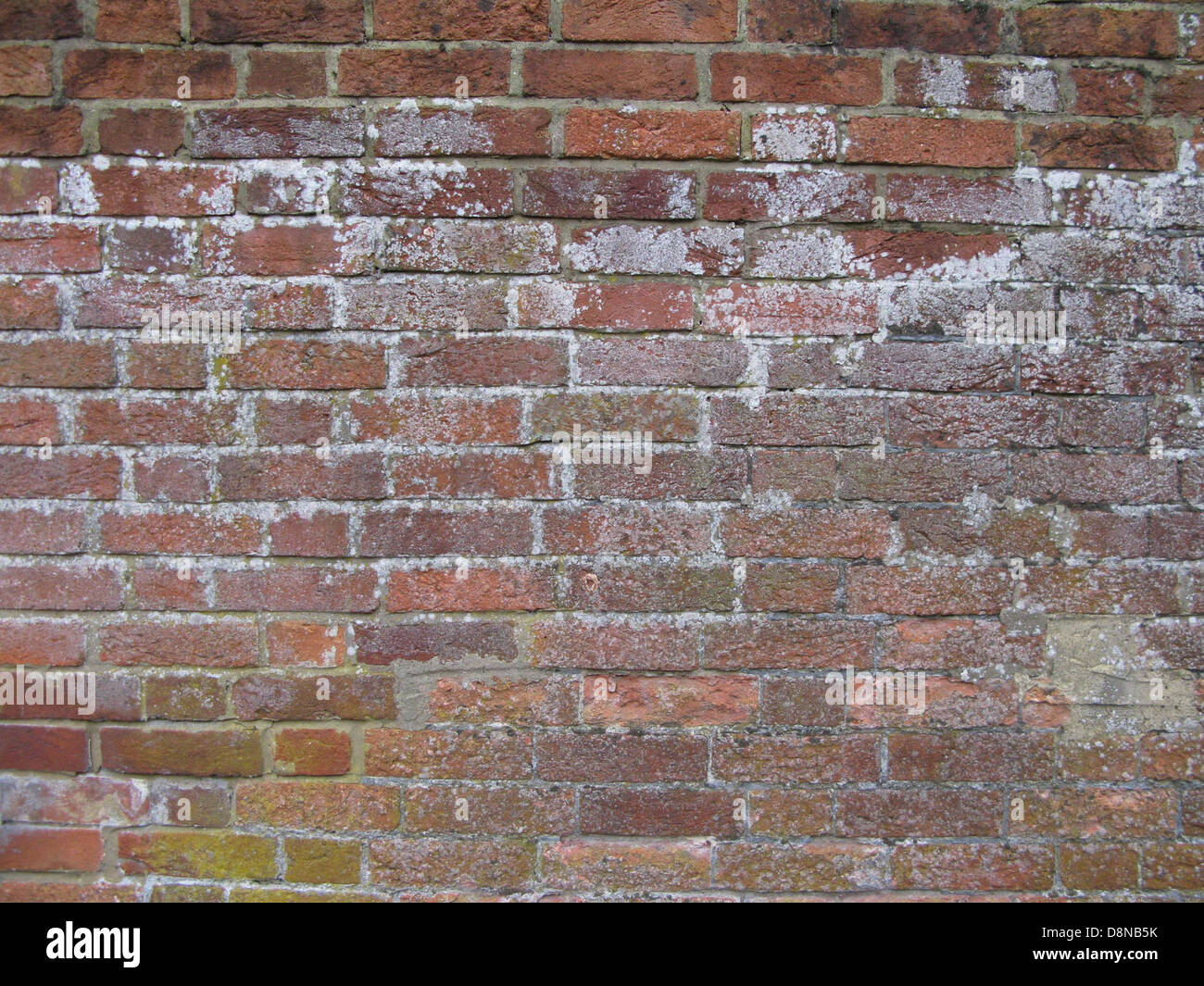 A close-up view of a red stone, highlighting its smooth texture and ...