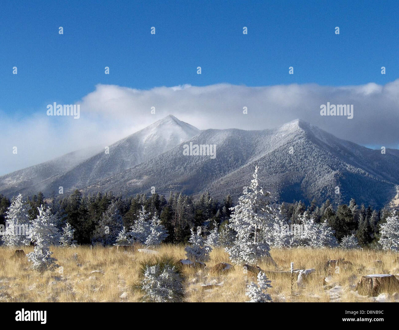 The San Francisco Peaks, located near Flagstaff, Arizona, are a ...