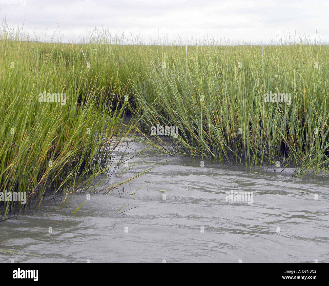 Headward hi-res stock photography and images - Alamy