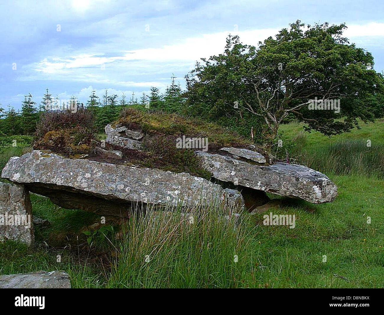 This image shows historical tombs in Ireland, possibly from ancient ...