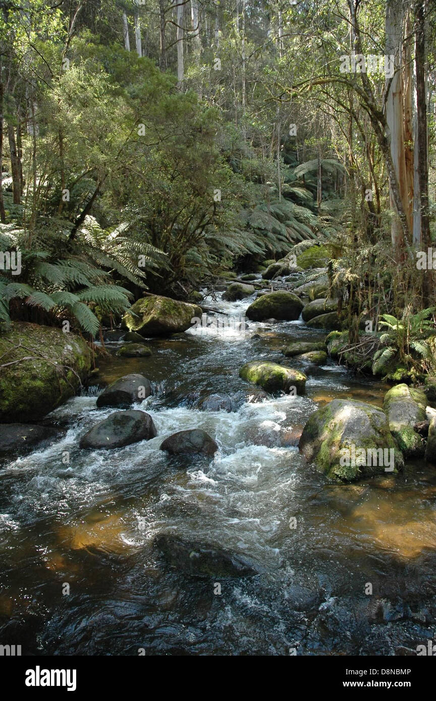 The Toroonga River flows through a picturesque landscape, offering a ...