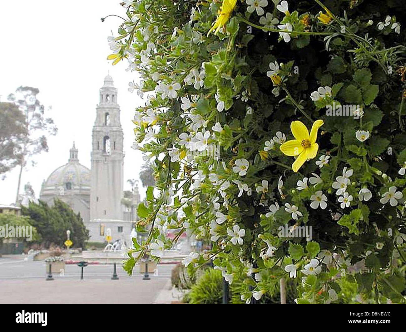 This image showcases towers surrounded by flowers and plants, with ...