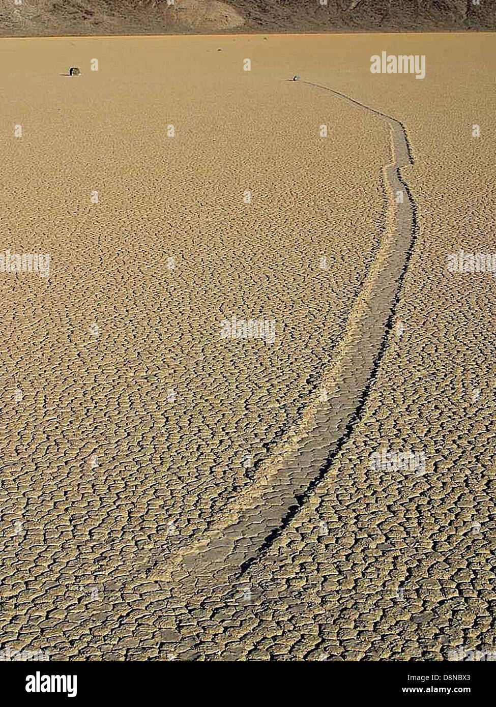 Footprints or animal tracks are imprinted in a sandy surface, creating ...