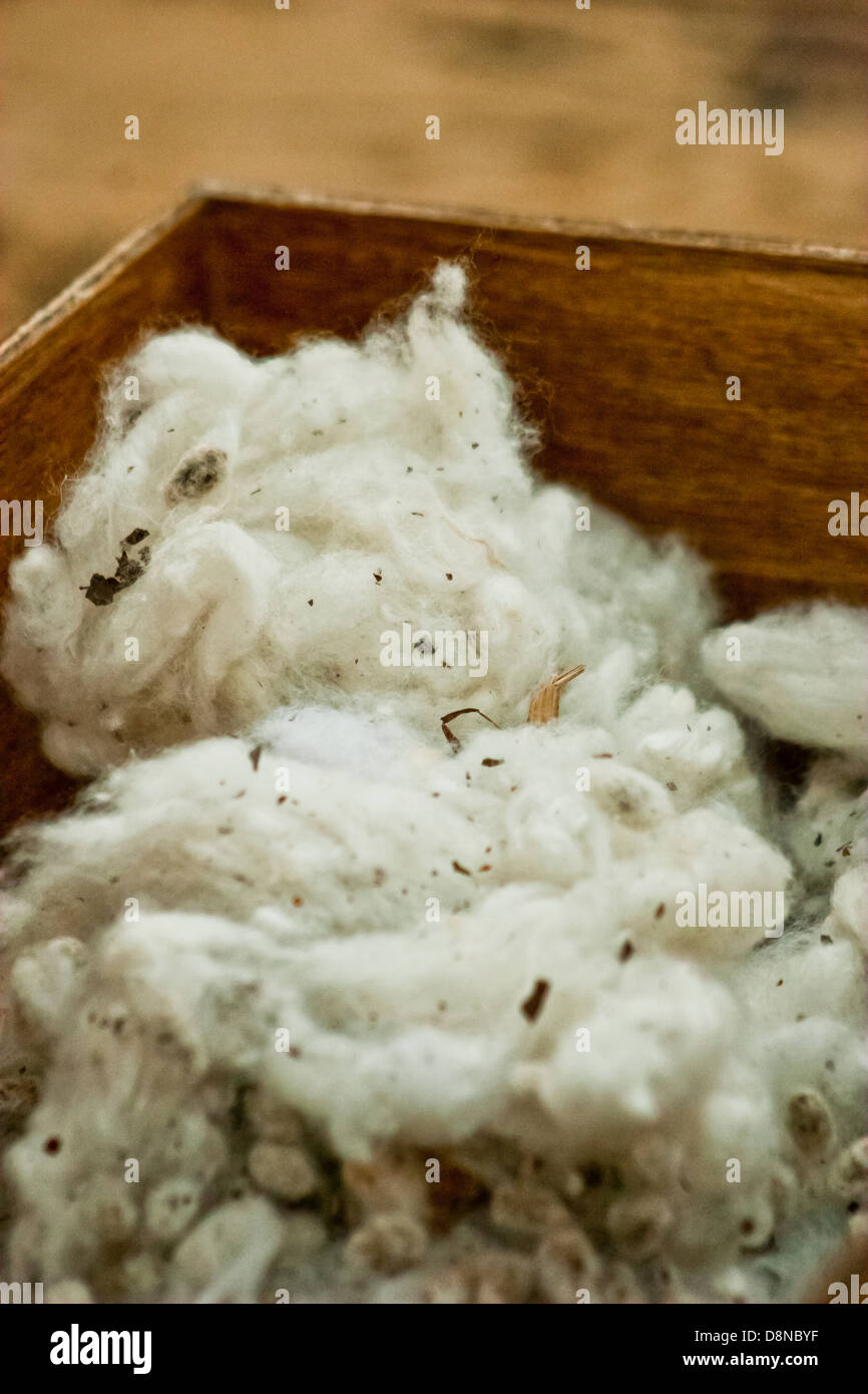 Uncleaned hi-res stock photography and images - Alamy