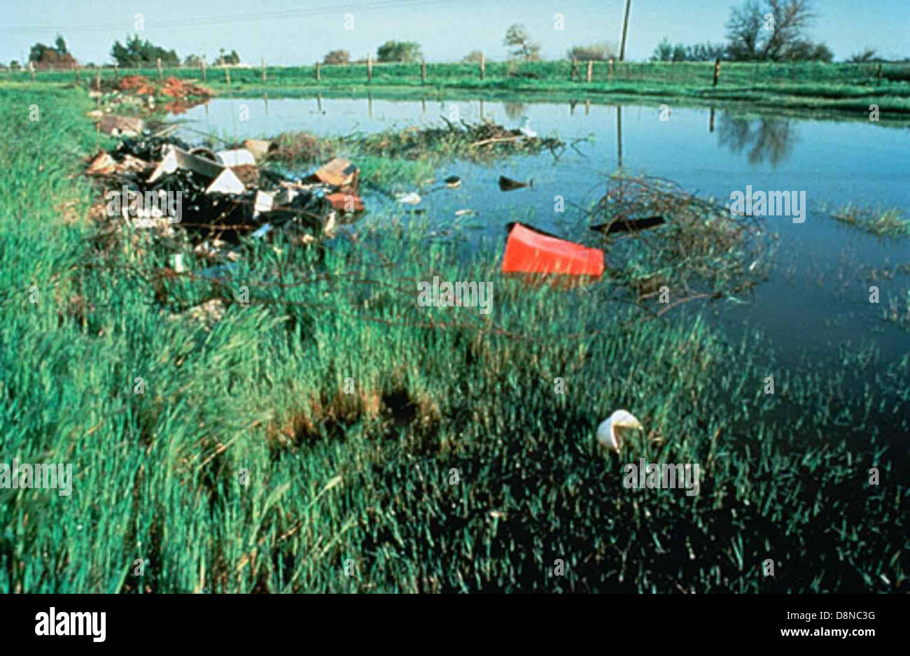 This image shows trash floating in a pond, highlighting the ...