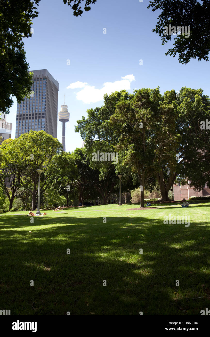 Hyde park in sydney australia hi-res stock photography and images - Alamy
