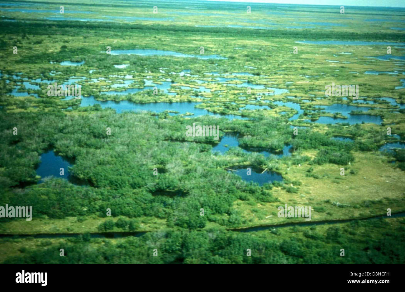 An aerial view of the tundra during summer, showing the sparse ...