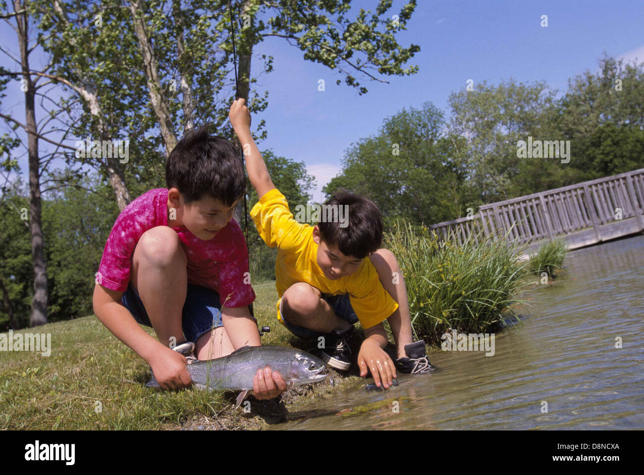 Two young boys proudly catch a rainbow trout fish during a fishing trip ...