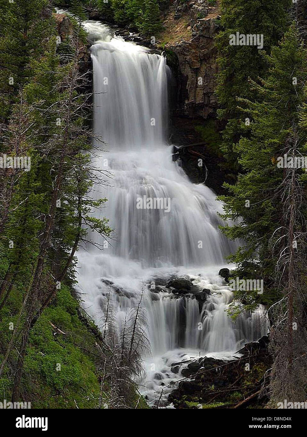 Undine Falls in Yellowstone National Park is captured in this image ...