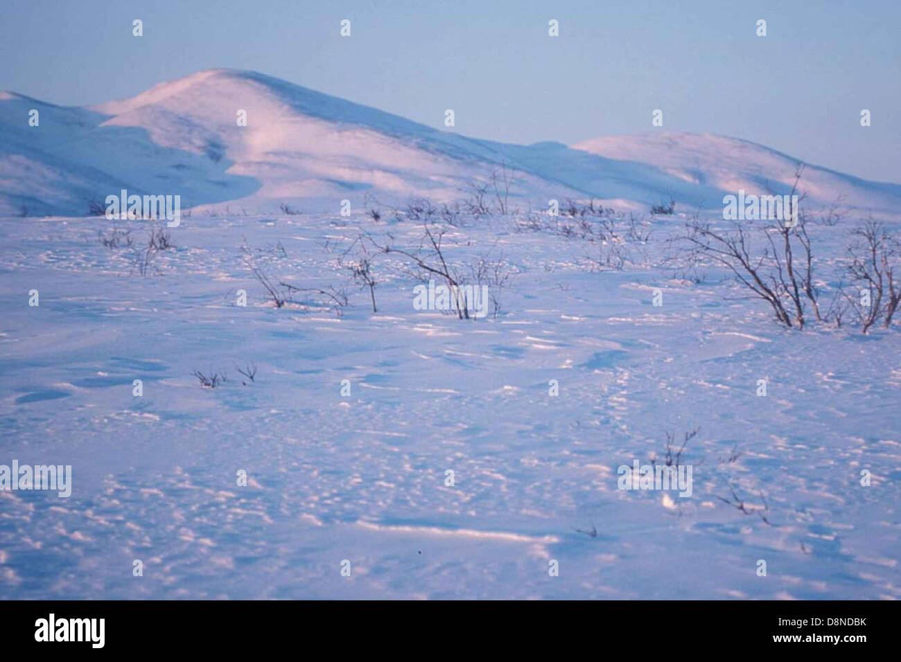 A vast valley with flat terrain covered in fresh snow, capturing the ...