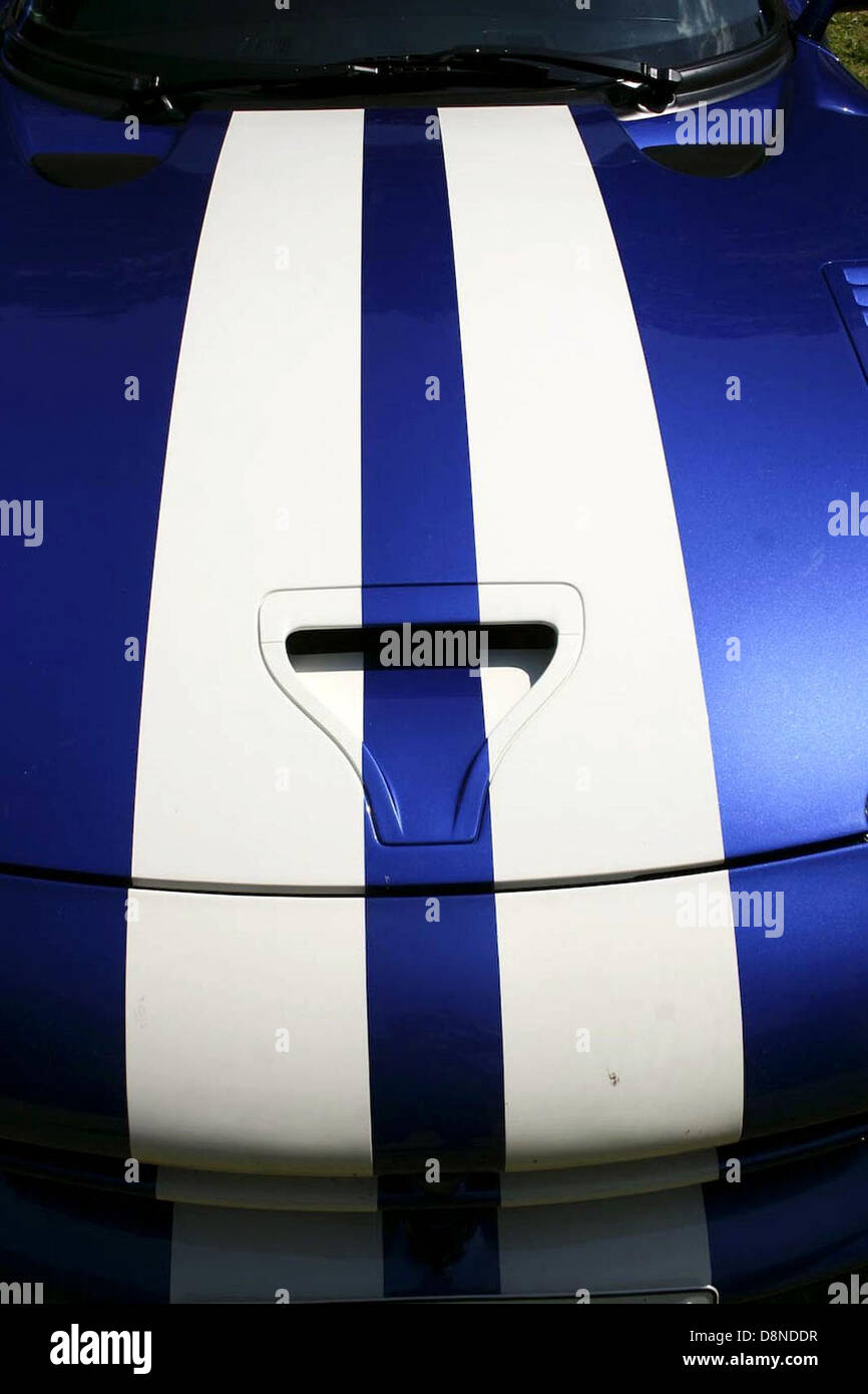 A close-up of a vehicle's car hood, showcasing the metal surface. The ...