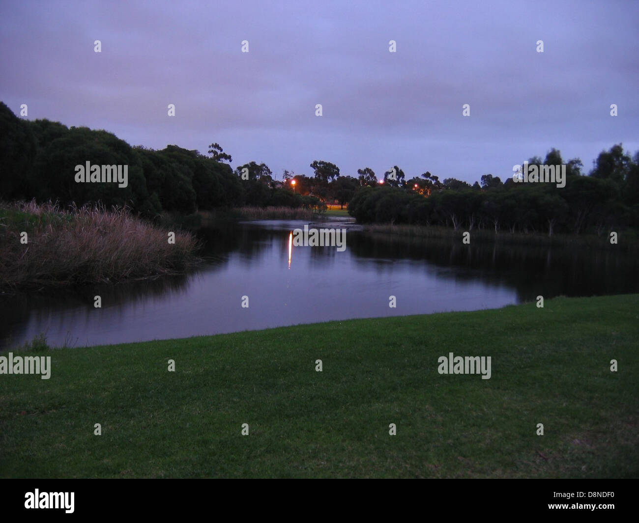 View across carine swamp at dawn western Australia Stock Photo - Alamy