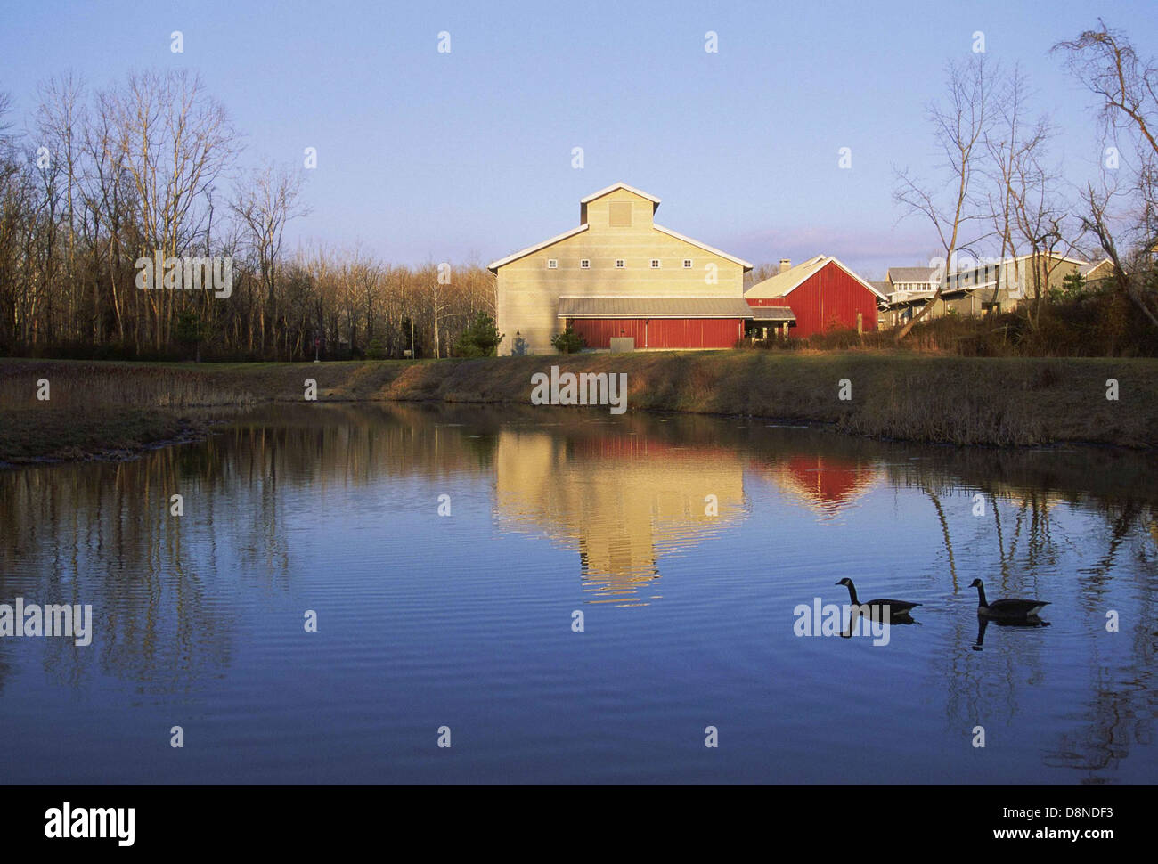 Tranquil water feature reflects hi-res stock photography and images - Alamy