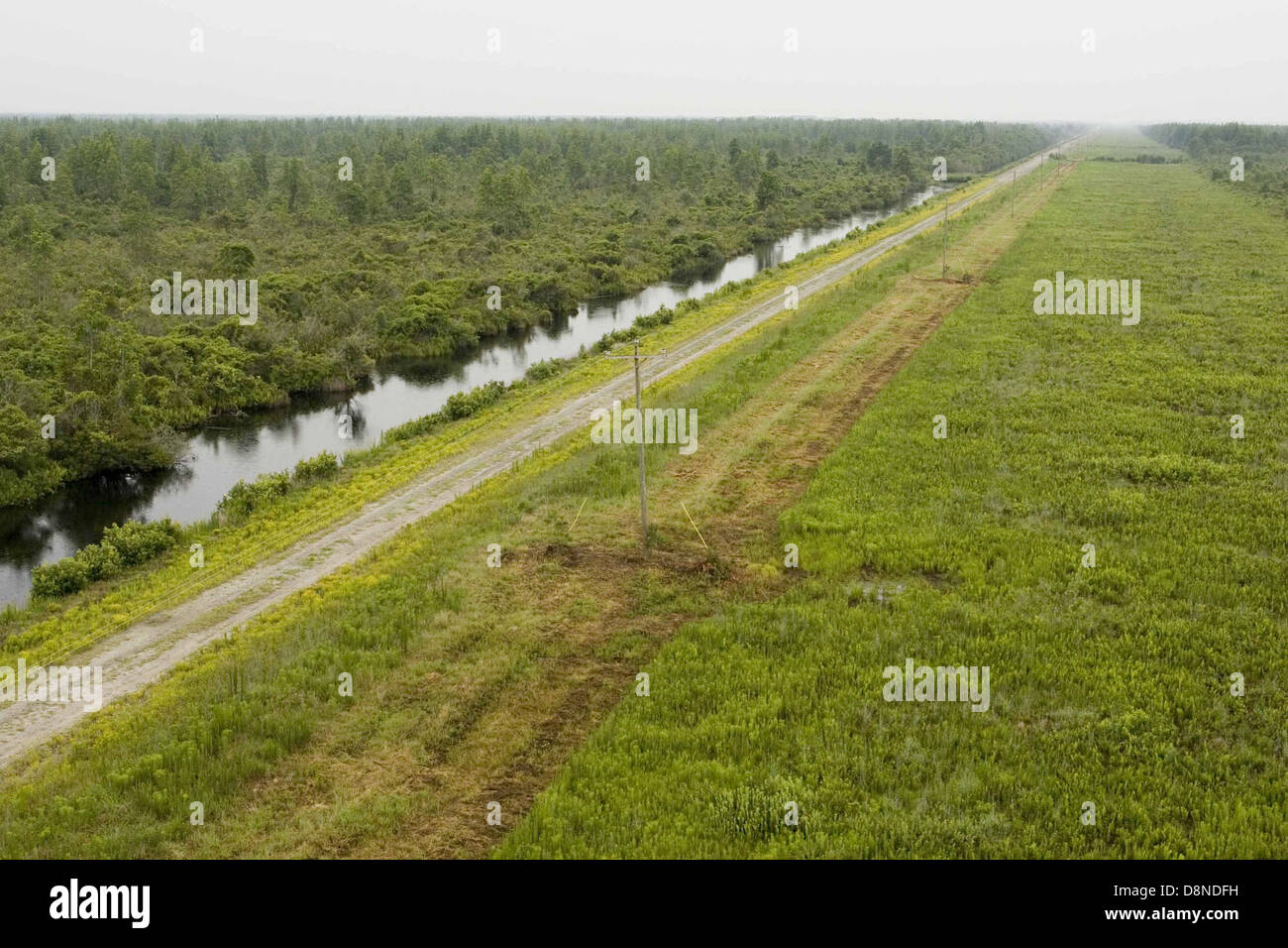 A scenic view of a road from the vantage point of an observation tower ...