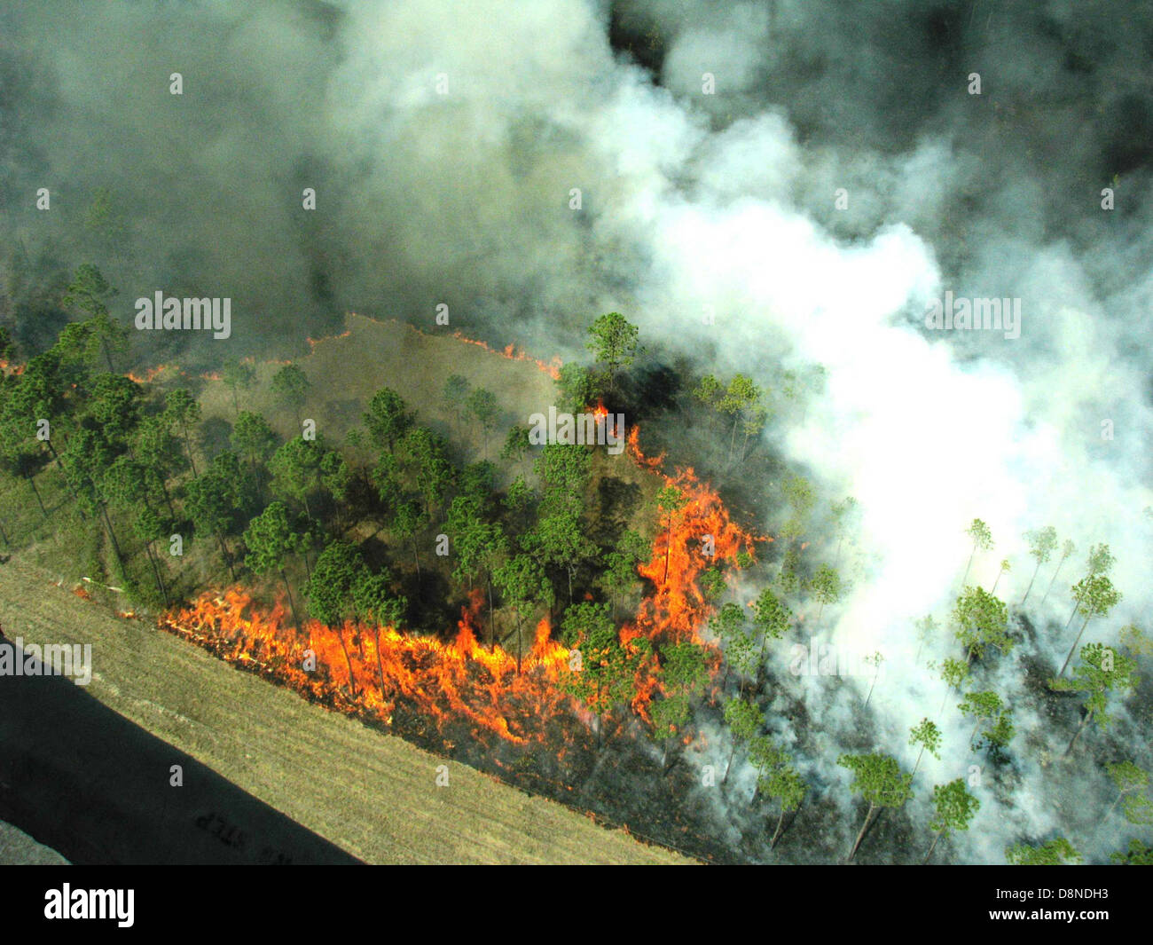 Aerial view from a plane of a forest fire spreading across a landscape ...