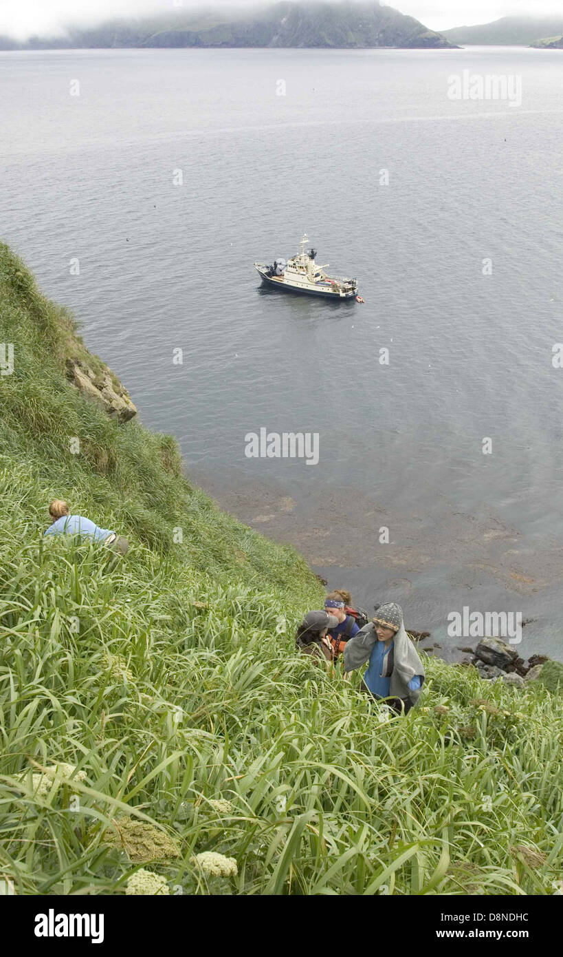 This image shows the view from the steep banks looking down at a small ...